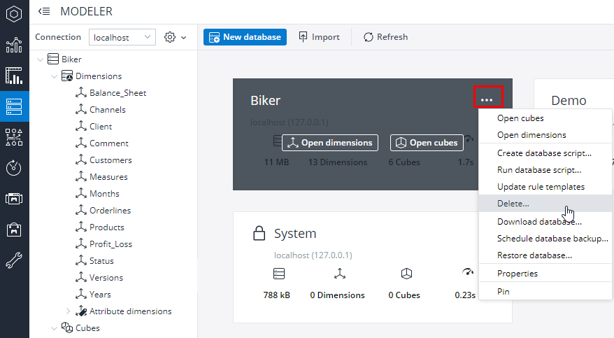 Managing Databases in Modeler
